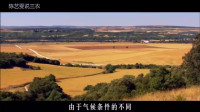 农业发展史:从火的使用到农耕的发展,人类经历了怎样的艰难过程?