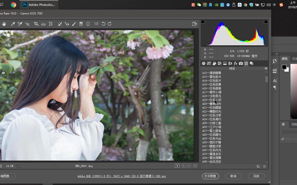 300款camera raw调色预设 多种风格供你选择 一键完成调色