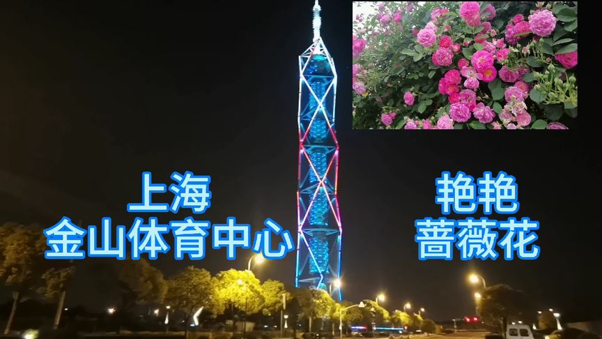 上海金山体育中心(申鑫足球)旁美丽电视信号塔,认识蔷薇这种花