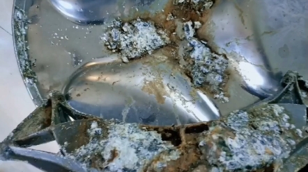 滚筒洗衣机里面会长霉