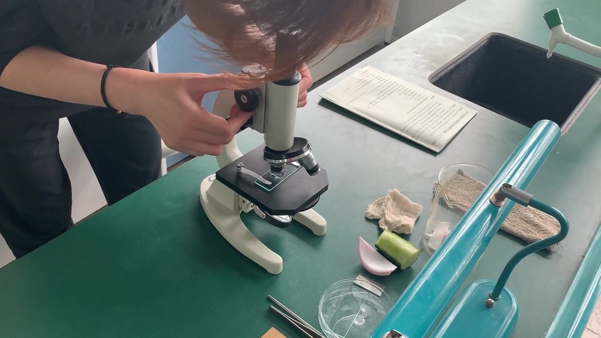 12 用显微镜观察黄瓜表层果肉细胞