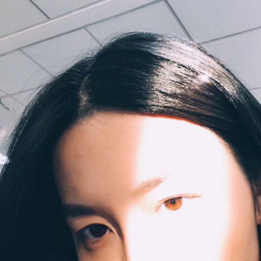 瓦瓦妮莎 