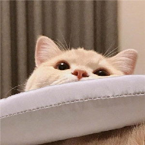 萝北居 