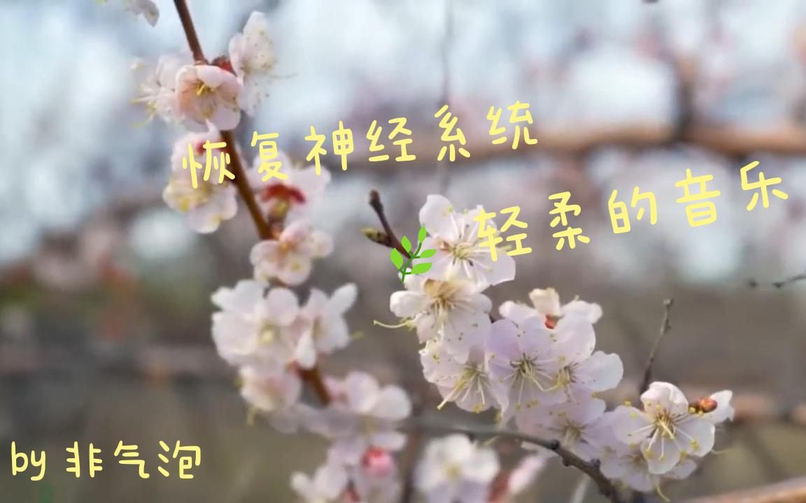 ߌ�恢复神经系统的ߌ� 轻柔的音乐使神经系统平静,使灵魂愉悦!ߌ�...