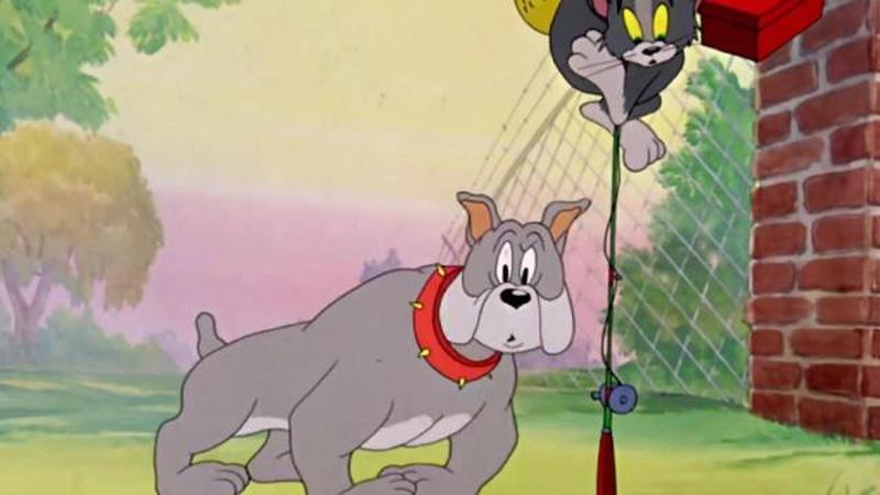 有点智商,但不多 #猫和老鼠