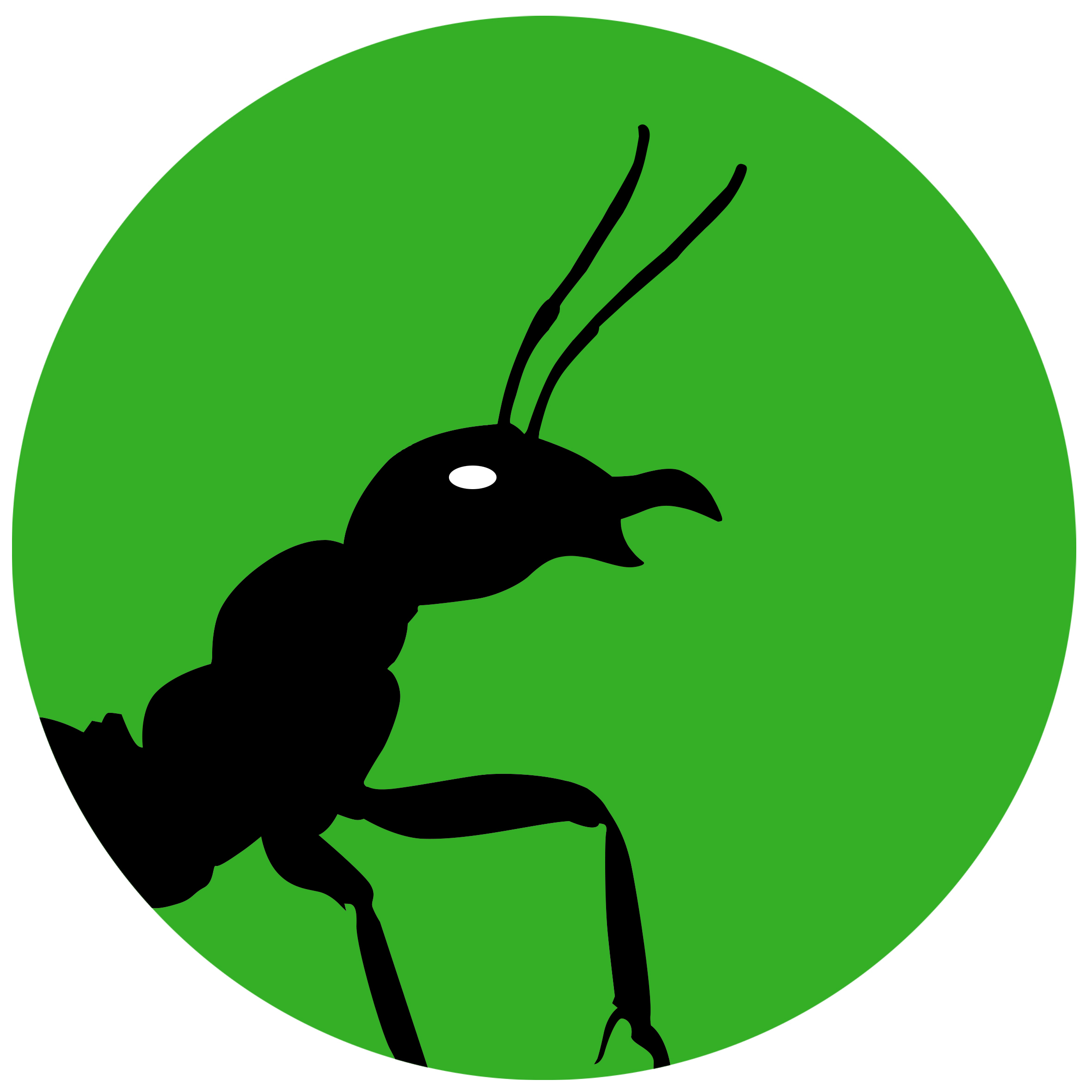 阿韬ANTS 