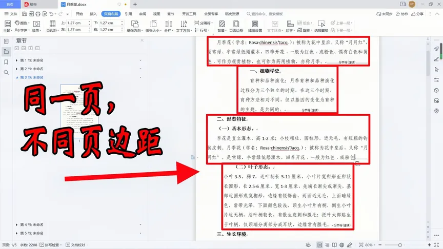 wps文档同一页设置不同页边距的方法,连续分节符与分栏符的用法