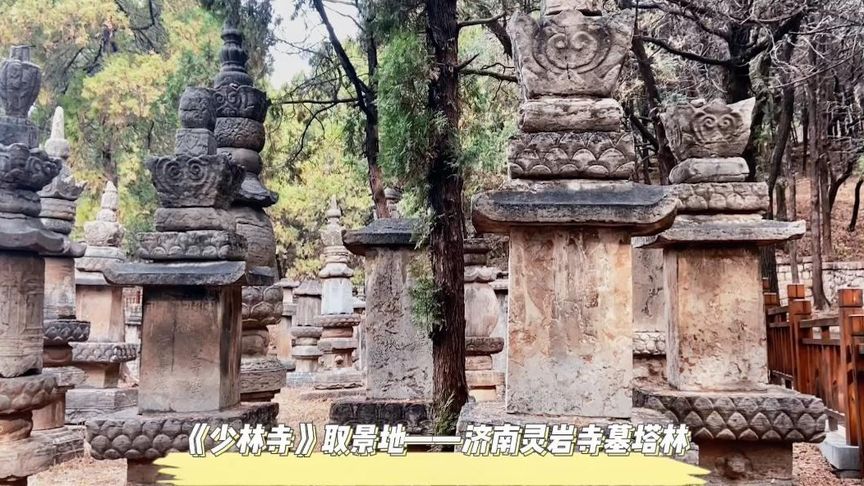《少林寺》拍摄地→济南长清灵岩寺墓塔林。