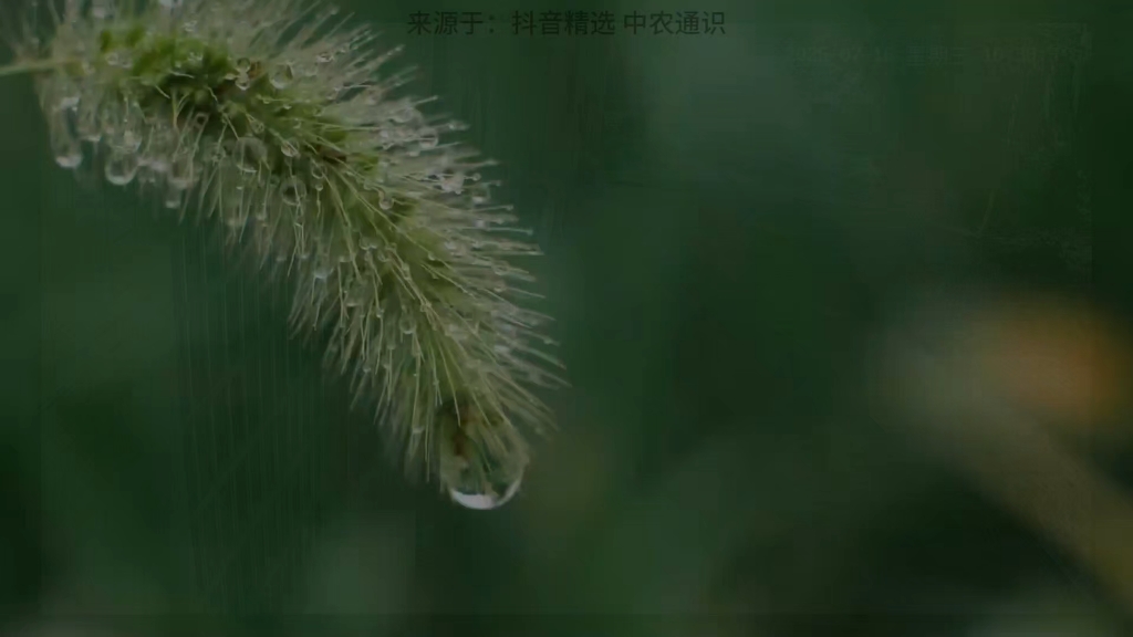 植物细胞的结构与功能