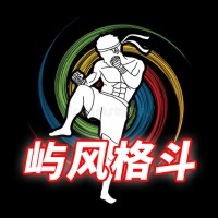 屿风格斗