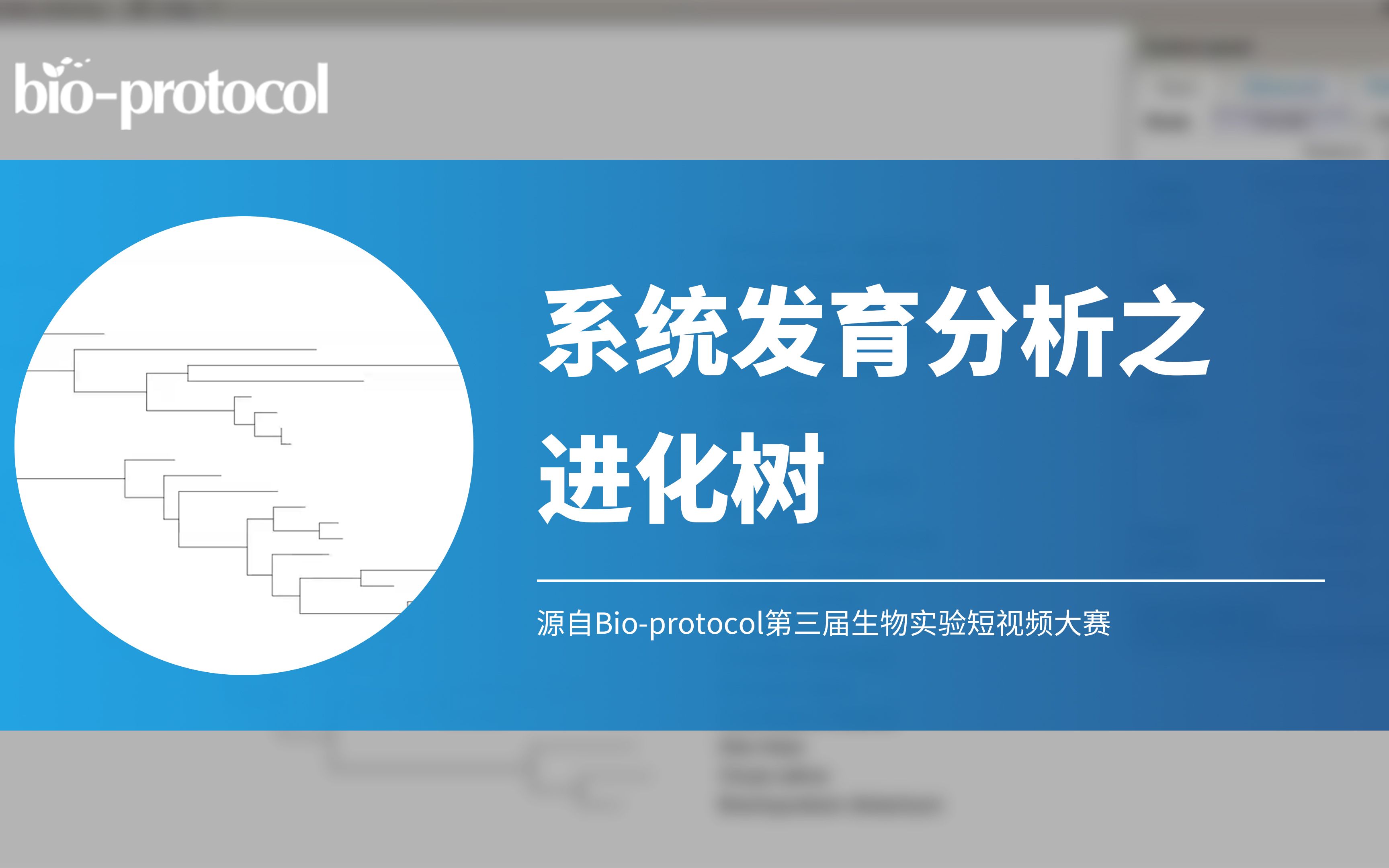 【短视频大赛】系统发育分析之进化树