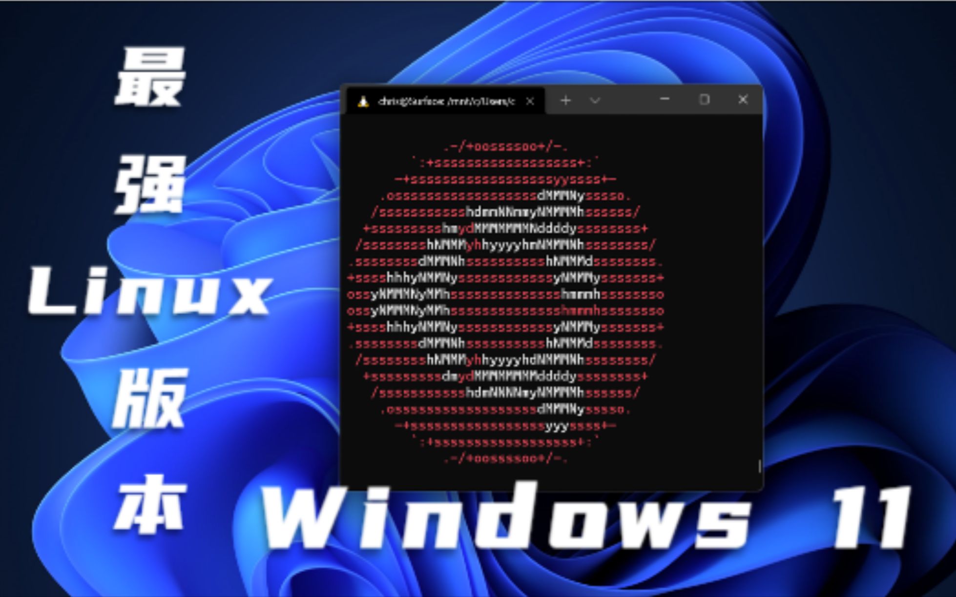 3分钟搞定:最强 Linux 版本:Windows 11