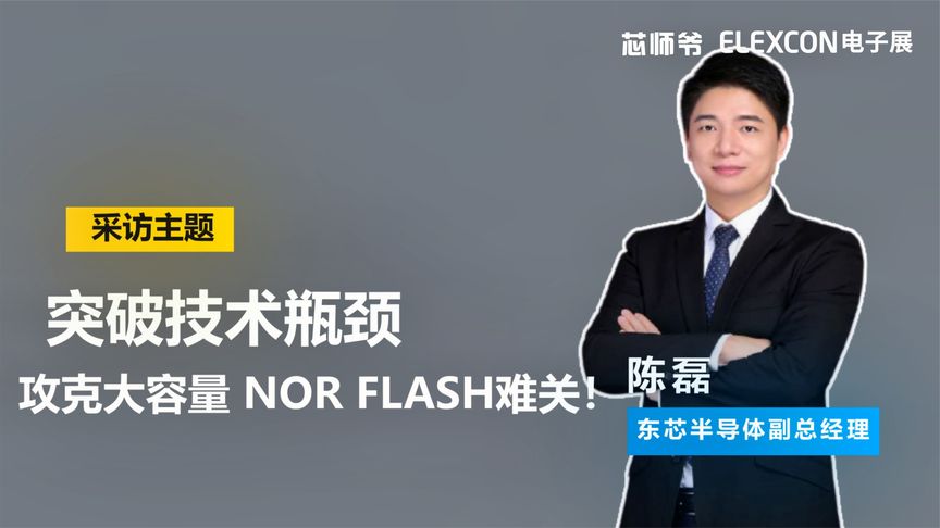 东芯半导体副总经理陈磊:突破瓶颈,攻克大容量 NOR Flash难关!