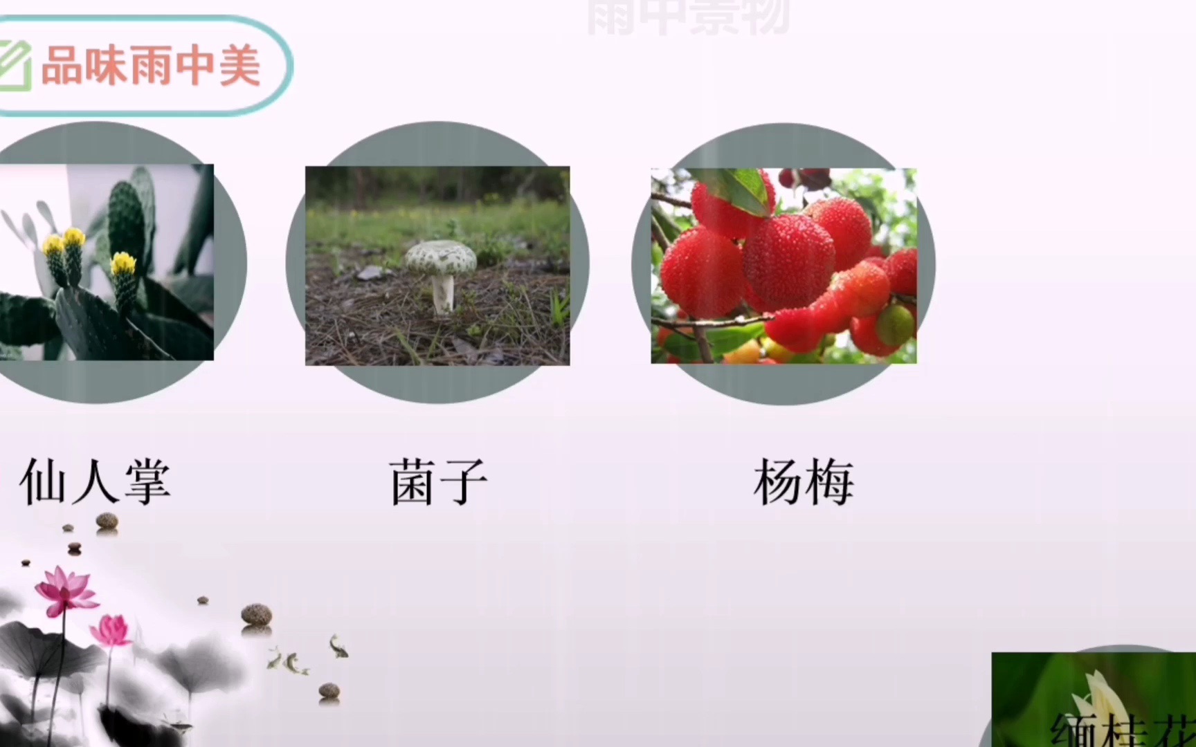 《昆明的雨》微课第二课时