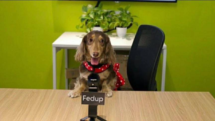 疫情期间航班取消,航空公司只退代金券,合法吗?