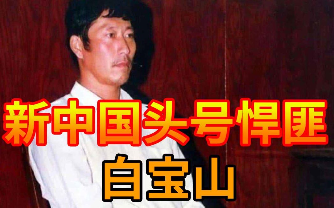 十三分钟解密新中国头号悍匪白宝山的罪恶一生