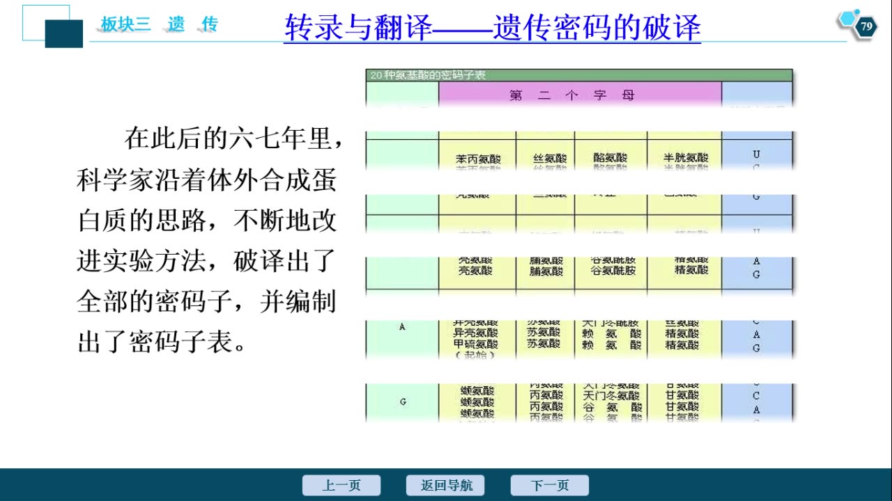 20200402-真核、原核细胞的表达及基因对性状的控制