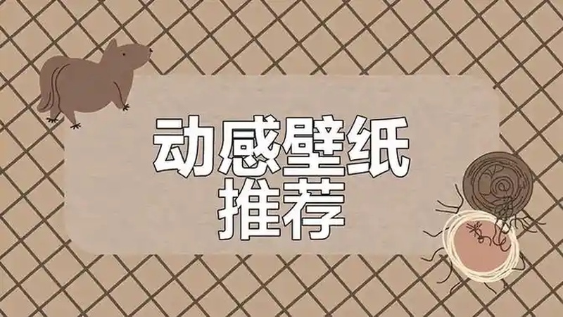 动态壁纸大赏,让你的桌面动起来!