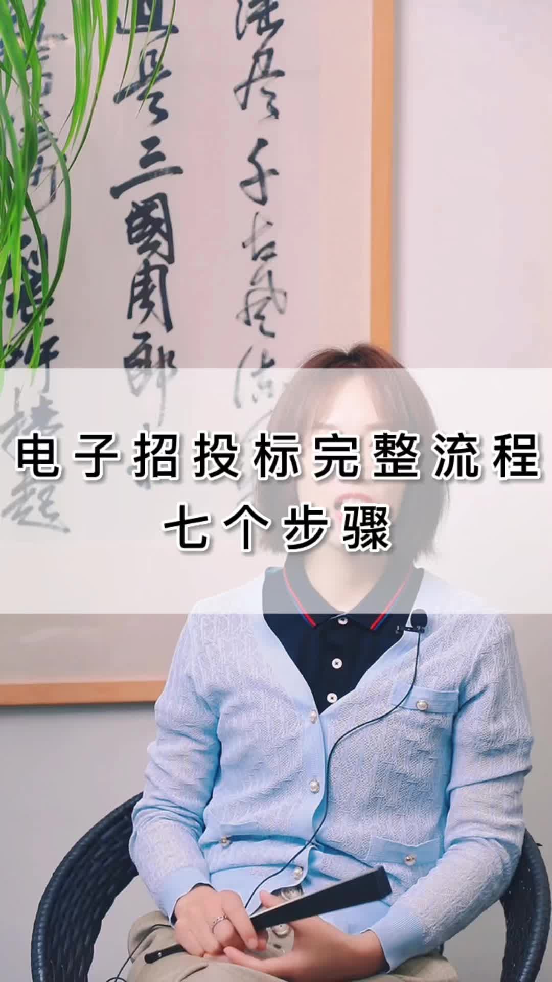 分享最完整的电子招投标投标流程#招投标 #电子标 #投标
