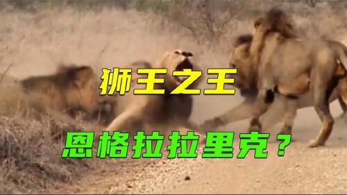 狮王之王,恩格拉拉里克传奇