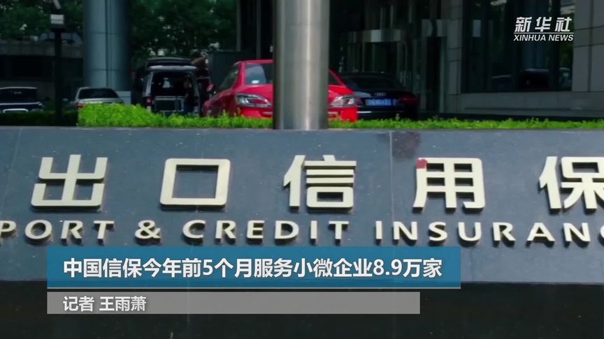 中国信保今年前5个月服务小微企业8.9万家