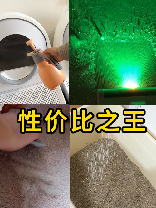 20多只猫,双十一清洁消毒用品怎么买?