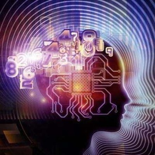 老梁桩园与小城养花