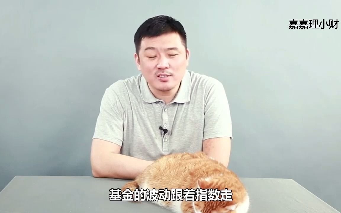 【微语录】被动管理基金和主动管理基金哪个好?
