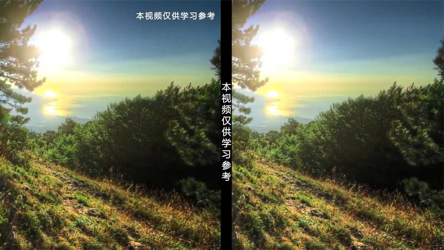 PR视频剪辑制作教程:中间值去水印