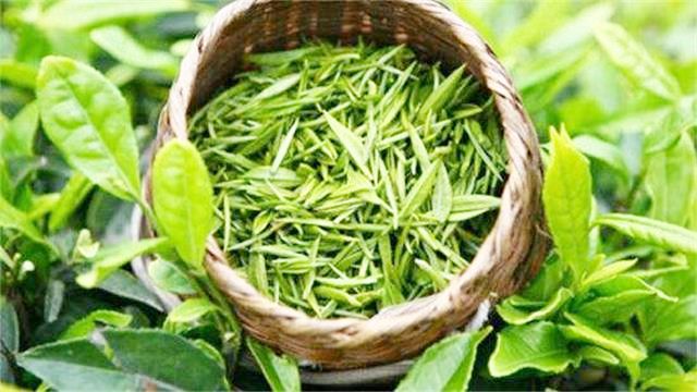 绿茶有哪些功效与作用?常喝好处多多,但与这类人无缘!