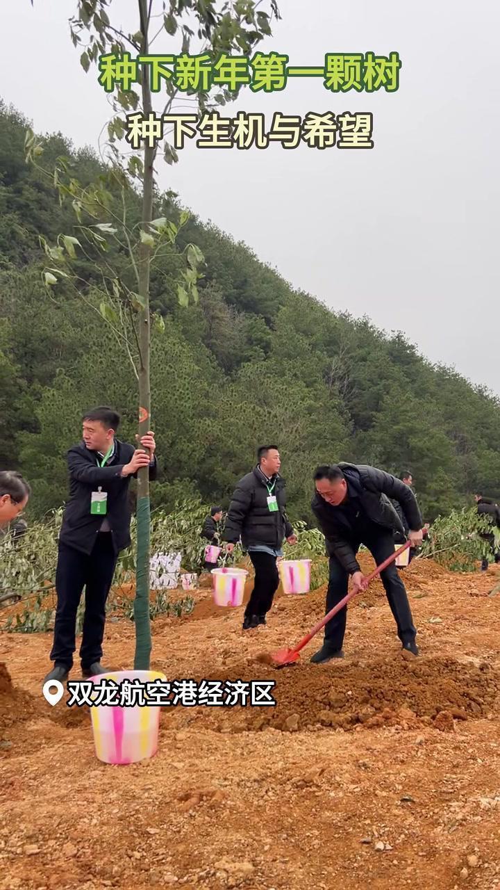 种下新年第一课树!贵州双龙航空港经济区开展义务植树活动视频拍摄:...