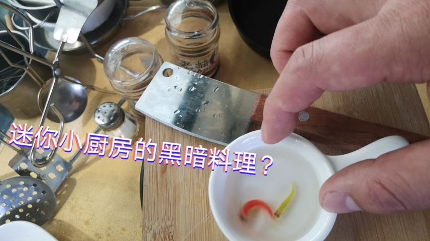 迷你小厨房小小世界迷你黑暗料理来啦,难道要油炸小金鱼吗?来看