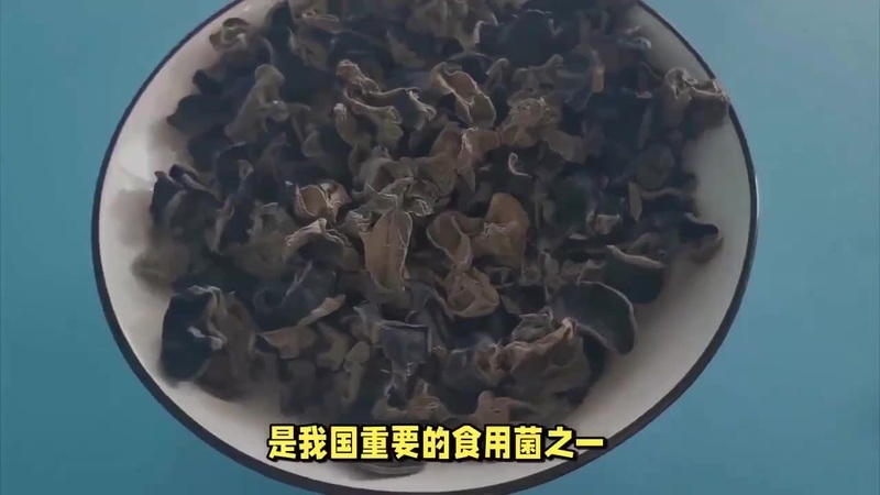 木耳的营养价值极高