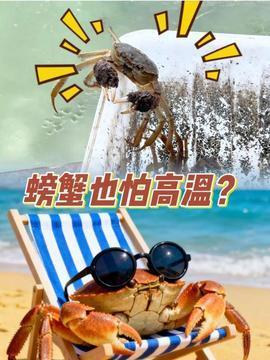 ...水下传感器24小时盯梢,溶解氧一低,增氧机自动开机!连塘里pH值、水...