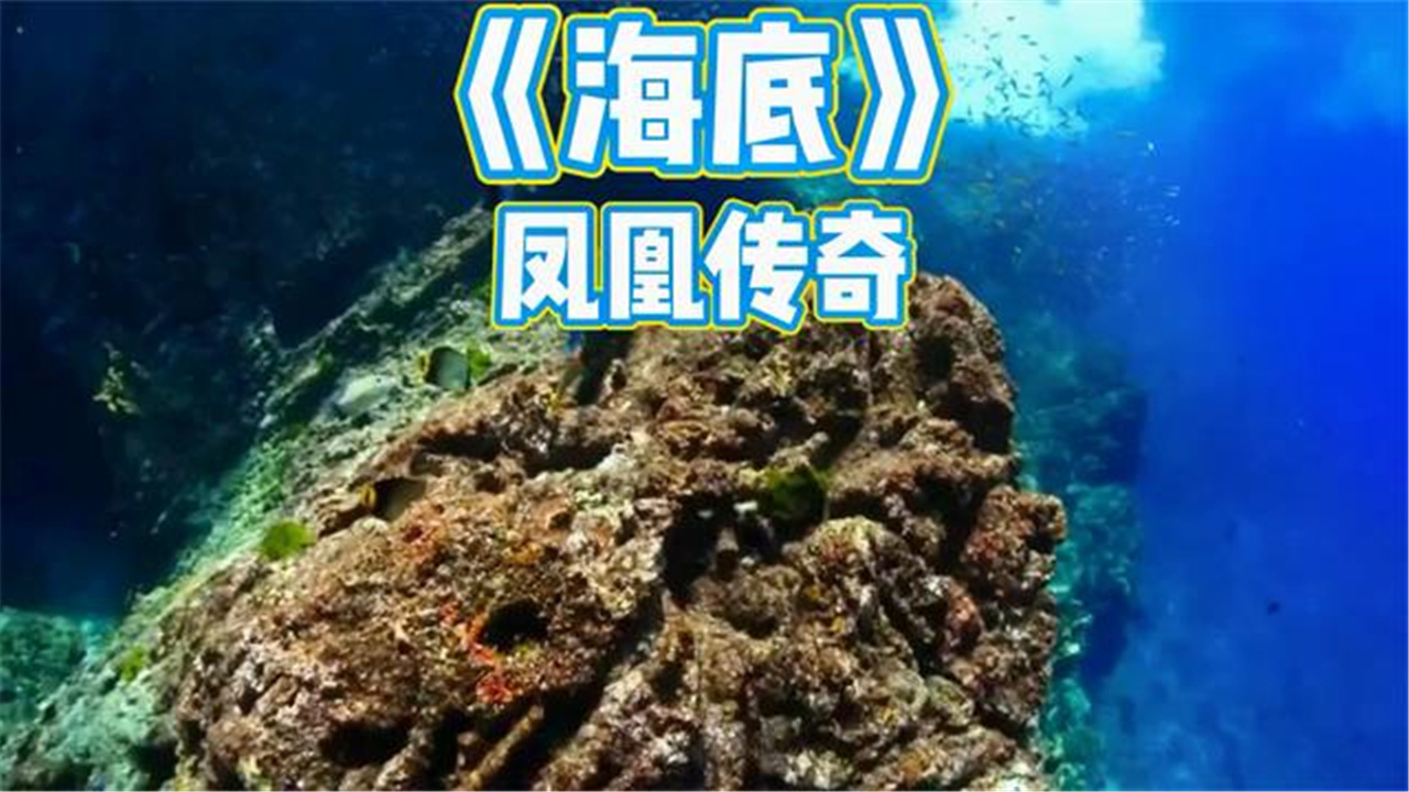 为歌而赞凤凰传奇《海底》曾毅终于有歌词了开口就被惊到的感觉