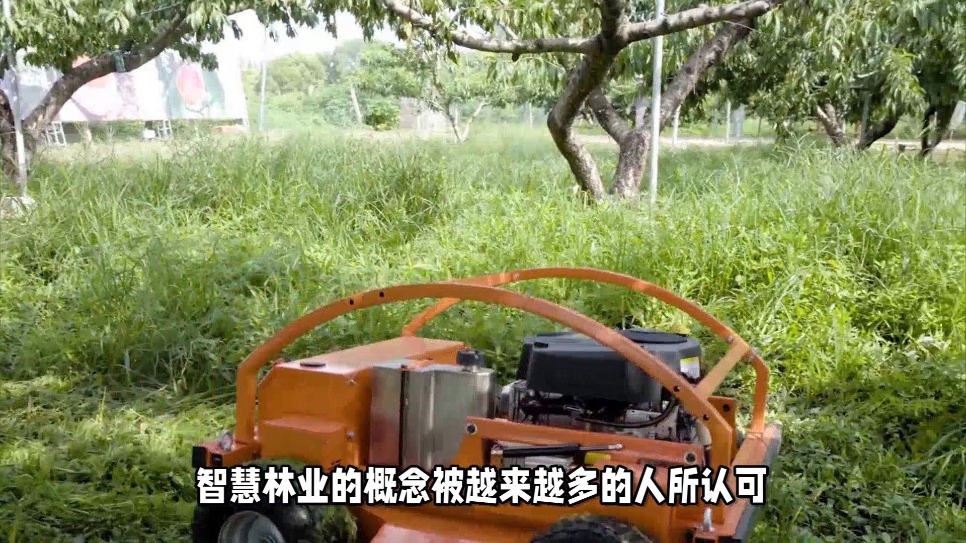 北斗+智慧林业:创新技术,引领未来