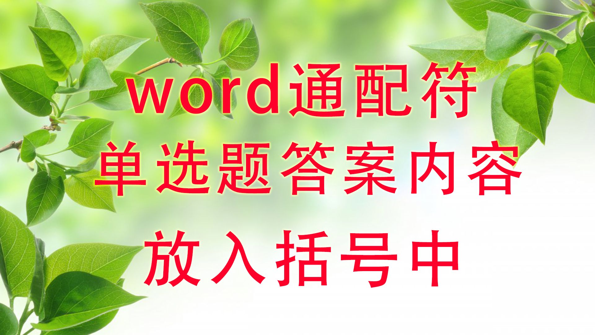 选择题答案内容批量放入括号中标红加粗,并删除错误选项