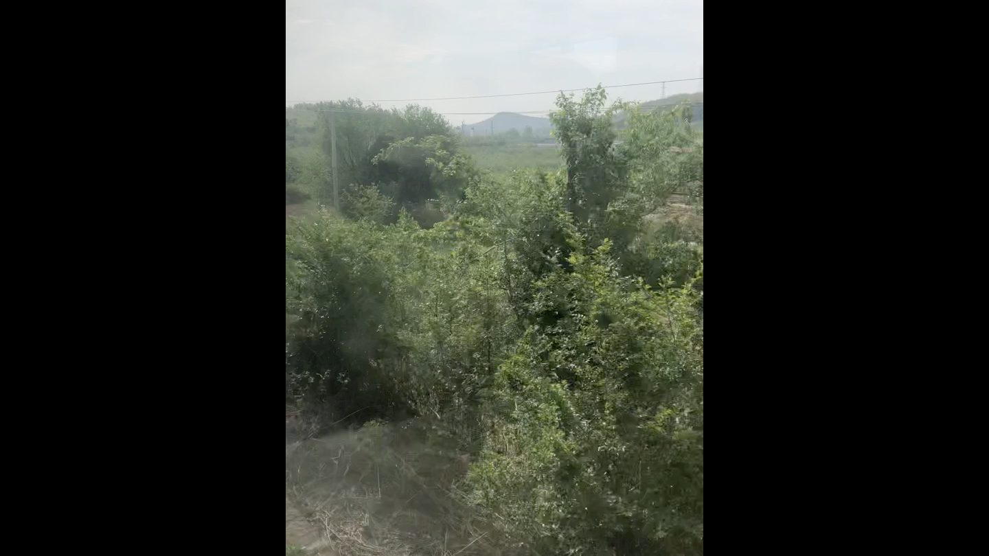 K877次列车胶州至烟台区间沿途风景