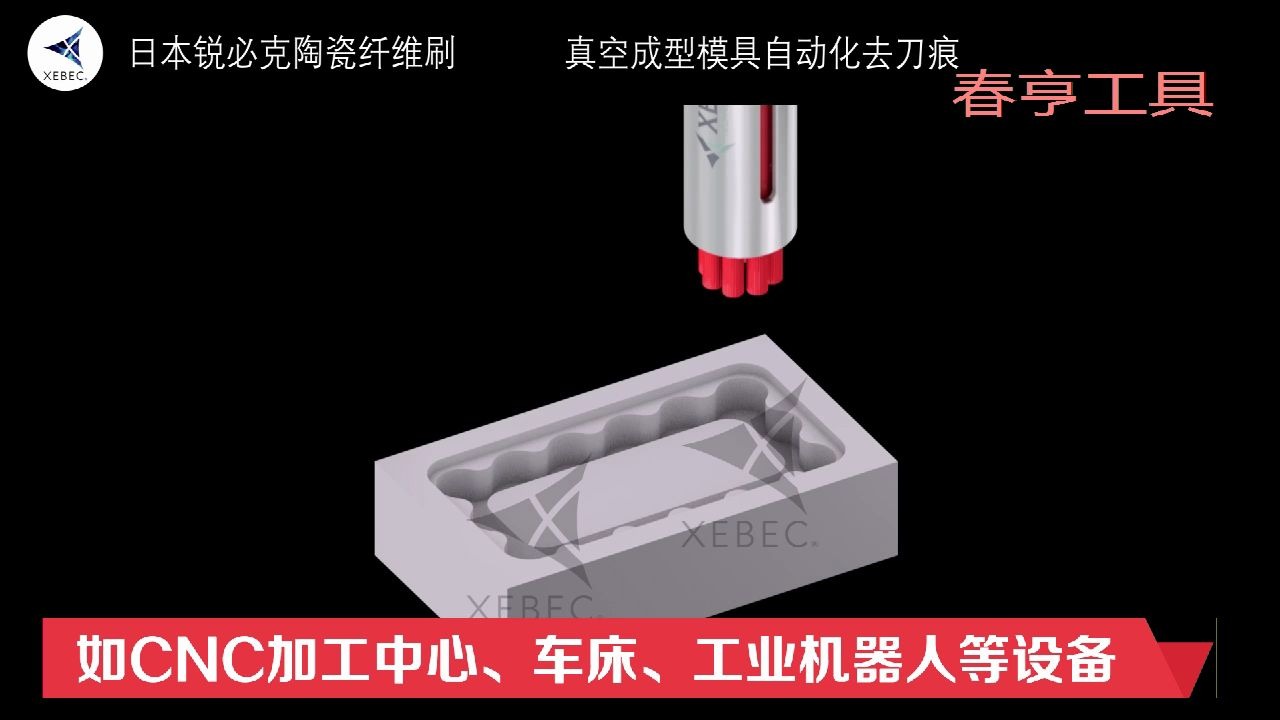 真想不到这个牌子的陶瓷研磨刷功能竞如此强大!