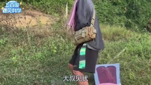 动物科学,男子钓鱼救助奇怪动物,像鹿却只有兔子大