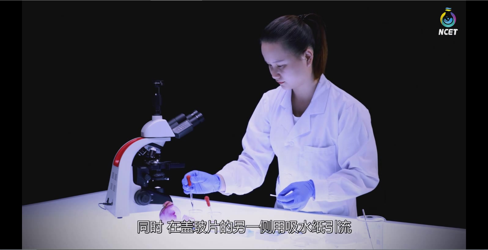 高中生物新教材-超清实验专题:5.植物细胞的吸水与失水