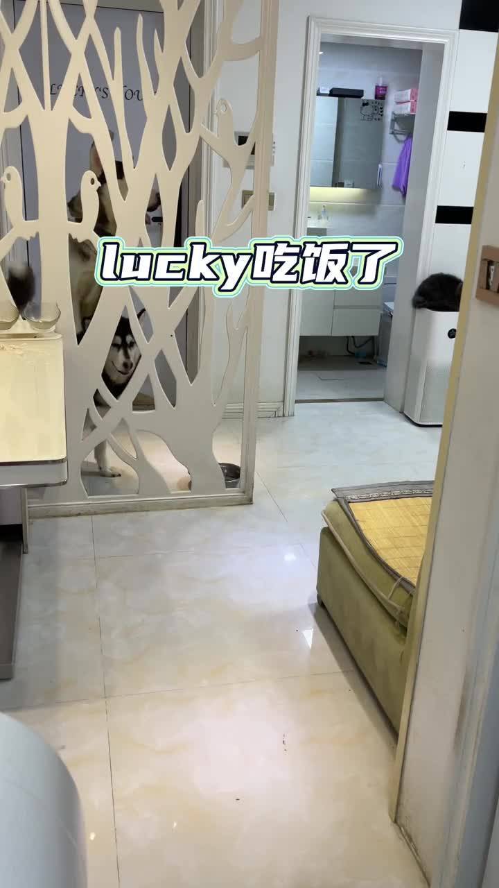 lucky:啊有海鲜那我要换个大盆