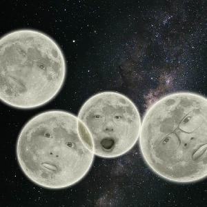 名著组合看世界 