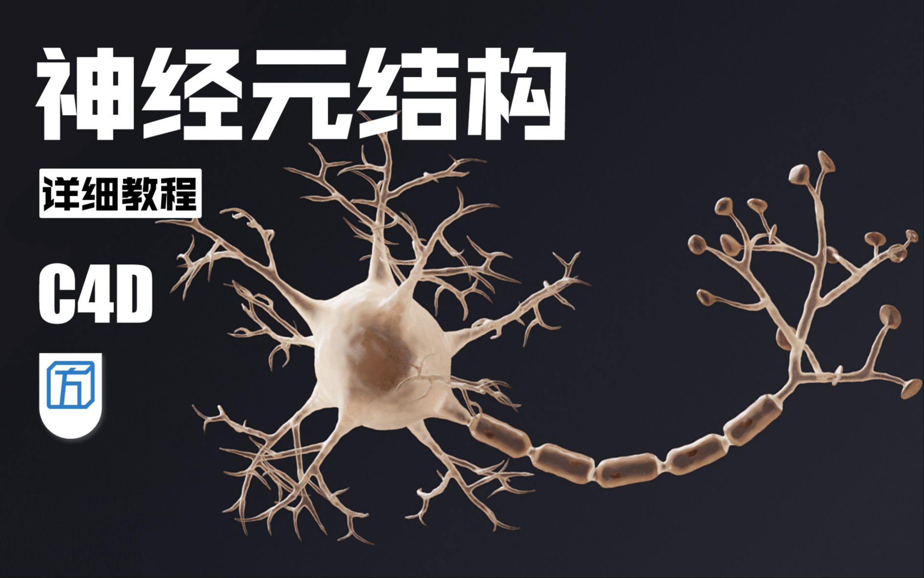 【C4D科研绘图】神经元结构的制作方法