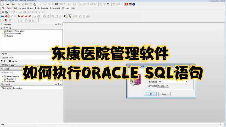 东康医院管理软件 如何执行ORACLE SQL语句