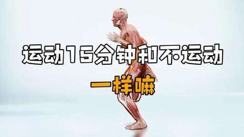运动15分钟等于白练?真相让你惊掉下巴!