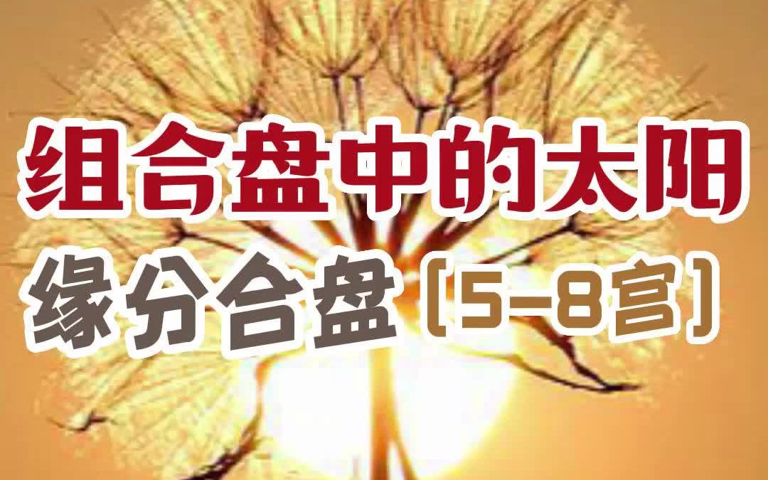 缘分合盘之组合盘中的太阳落入12宫位(5-8宫)