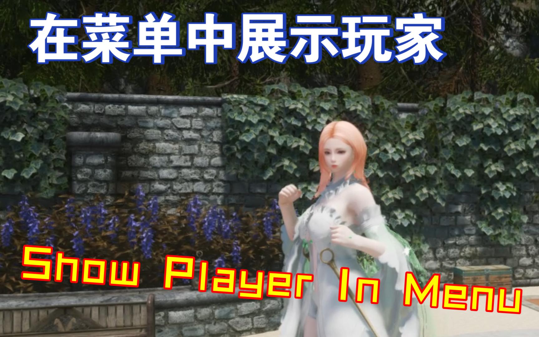 【上古卷轴5mod分享】在菜单中展示玩家-Show Player In Menu
