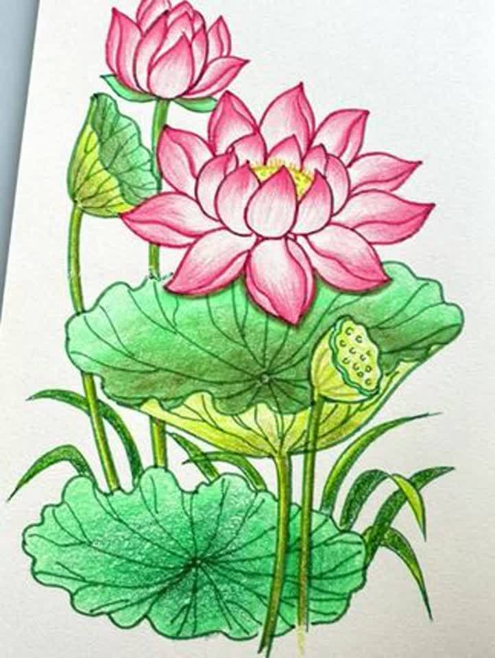 用水滴画荷花简单又好看 #简笔画 #荷花 #育儿简笔画 #荷花的画法 #.