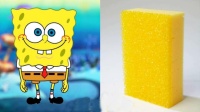盘点海绵宝宝中的动物原型,原来被海绵宝宝骗了这么久!